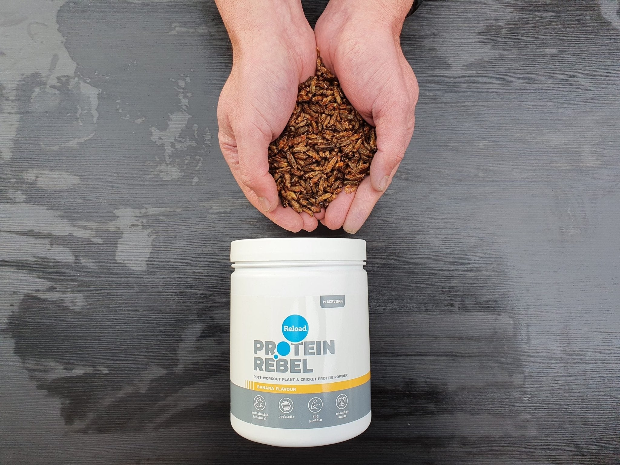 Why bother with cricket protein? – Protein Rebel UK